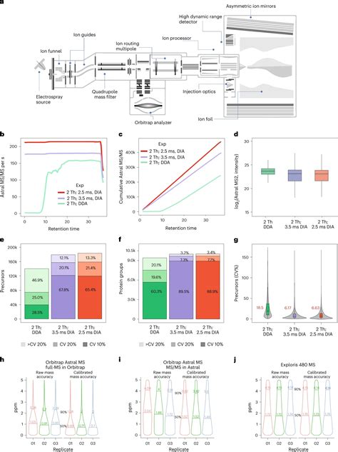 Deep Dia Proteomics Service Mtoz Biolabs
