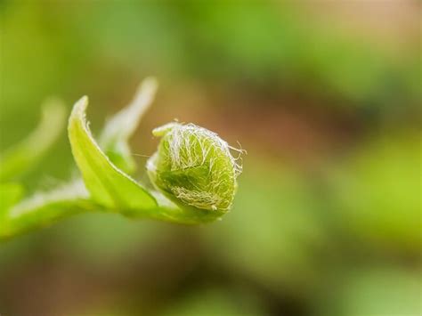 Premium Photo Backgrounds In Duri