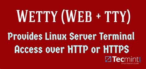 how to access linux server terminal in web browser using wetty web