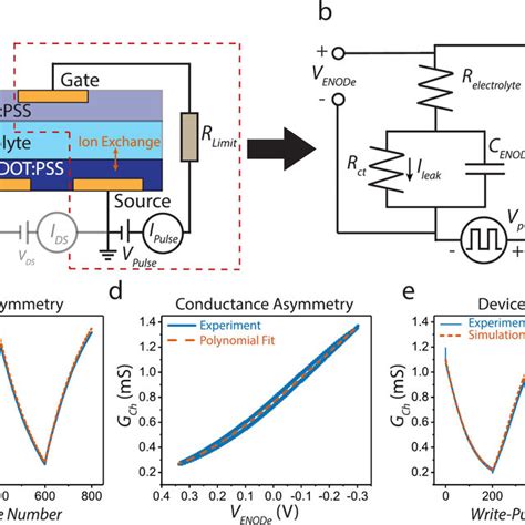 Enode Circuit Model A Schematic Of The Enode Measurement Setup And