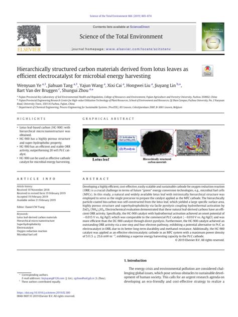 Hierarchically Structured Carbon Materials Derived From Lotus Leaves As