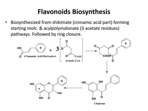 Ppt Flavonoids Powerpoint Presentation Free Download Id4354571