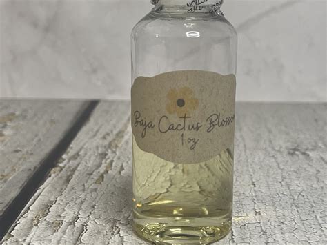 Replacement Diffuser Oil Home Décor Aromatherapy Diffuser Office Décor