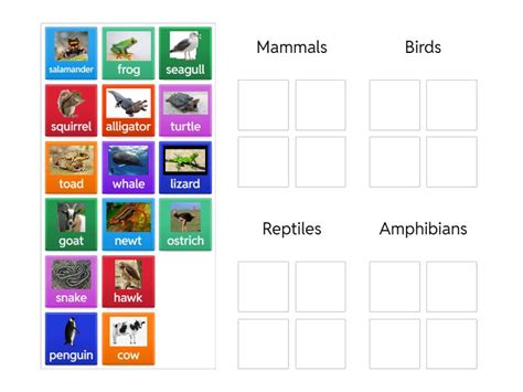Unit 4 Mammals Birds Fish Reptiles Amphibians Group Sort