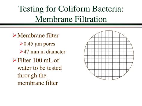 Ppt Water Quality Powerpoint Presentation Free Download Id1237578
