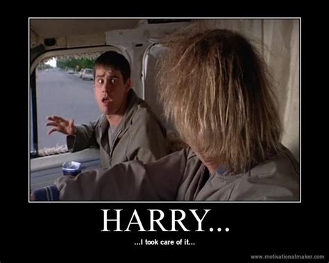 Dumb And Dumber Harry Meme