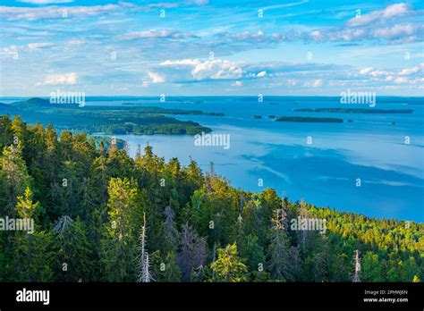 Panorama View Of Archipelago At Lake Pielinen At Koli National Park In