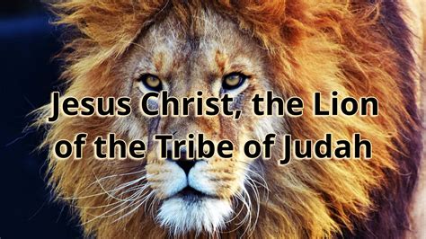 Lion Of Judah Wallpapers Top Free Lion Of Judah Backgrounds