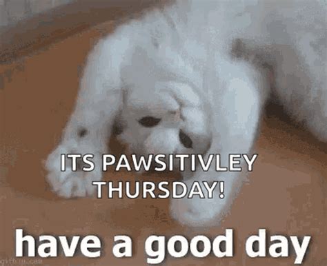 Have A Great Thursday Cat