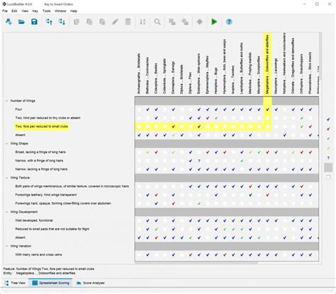 What Does The Lucid Builder Do Lucid Help