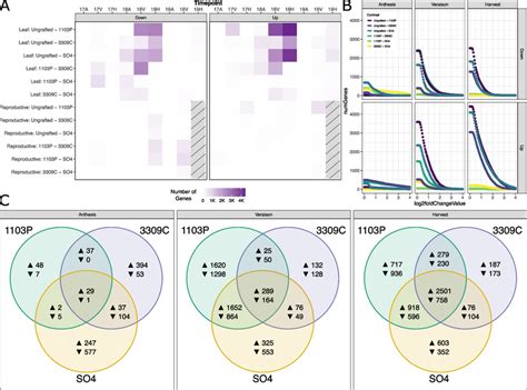 Differentially Expressed Gene Counts Are Enriched For A Single Year Of