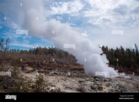 Steamboat Geyser During An Eruption In The Norris Geyser Basin In