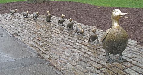 Make Way For Ducklings Photograph By Barbara Mcdevitt Fine Art America