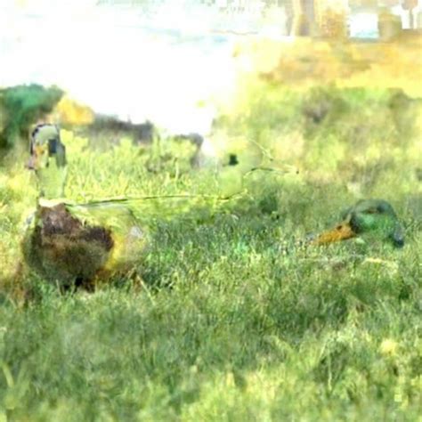 Stream The Yoink 43 Listen To The Gloop And The Yoinky Playlist Online For Free On Soundcloud