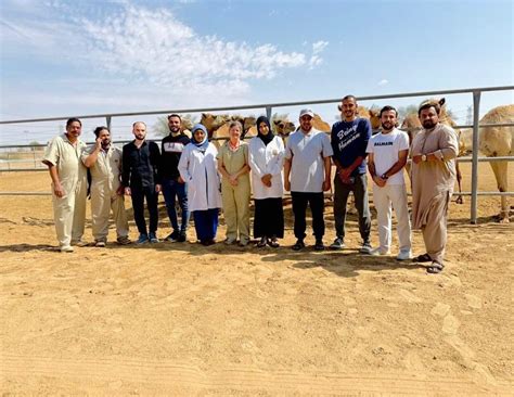 Camelreproduction Embryotransfer Innovationinbreeding Saif Alomari
