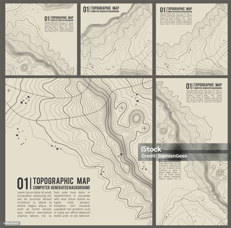 Vektor Tekstur Pola Topografi Set Topografi Vektor Kontur Abuabu