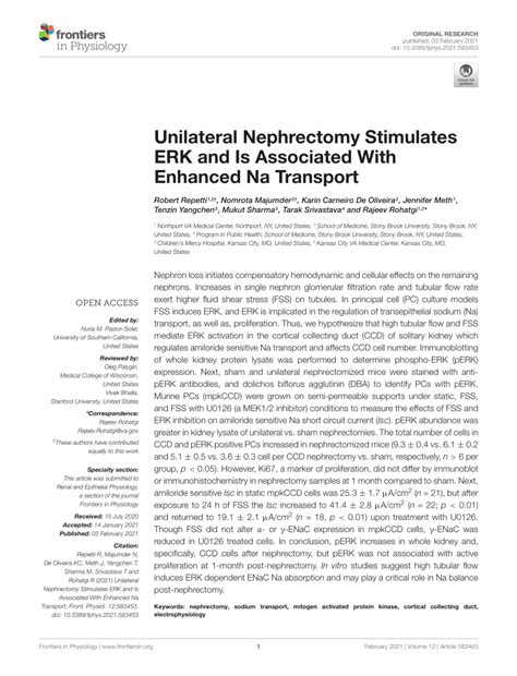Pdf Unilateral Nephrectomy Stimulates Erk And Is Associated With Enhanced Na Transport