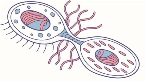Detailed Microorganisms Or Bacteria Under Microscope Vector Design