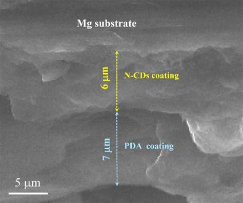 Cross Sectional Sem Morphology Of The N Cds 8pda Composite Coating