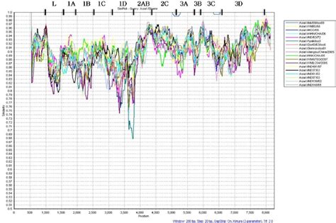 Similarity Plot For The Comparison Of The Complete Genomic Sequences Of Download Scientific