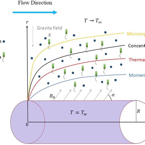 Geometrical Representation Of The Physical Problem Color Figure Can