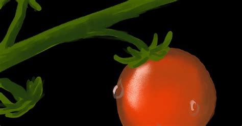 Tomato Album On Imgur