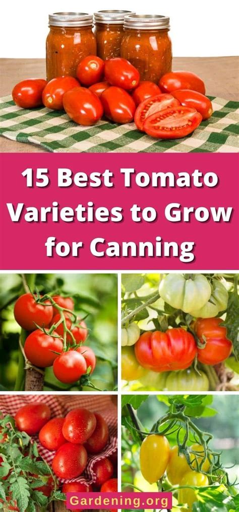 The Time To Start Planning For Canning Is In The Early Spring When You