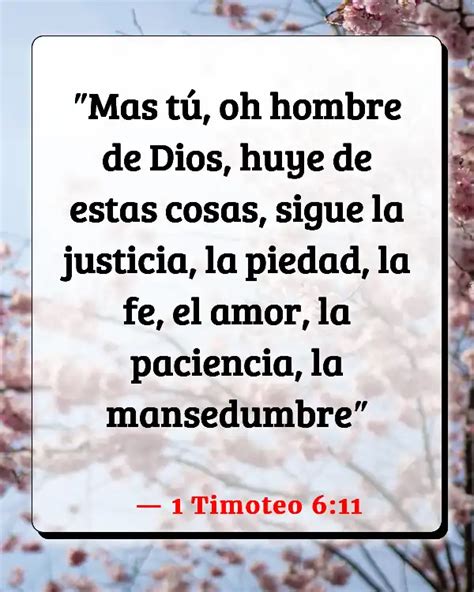 87 Versículos De La Biblia Hombres