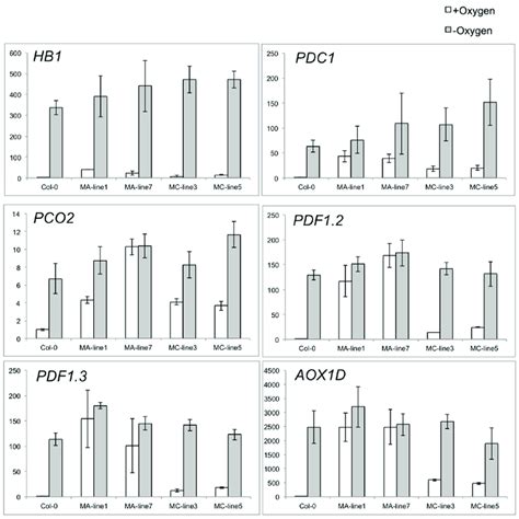 Quantitative Real Time Pcr Validation Of Transcriptome Data For