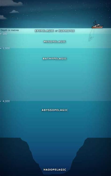 The Hidden Depths Exploring The Layers Of The Ocean
