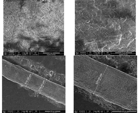 Sem View Of Coconut Coir Shell Powder Fibre Epoxy Resin Composite