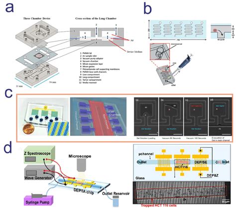 Four Microfluidic Chip For Anti Cancer Drug Screening A A