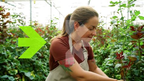 Syed Abuzar Phd On Linkedin Empowering Uplifting Iwd2024 Breakthebias