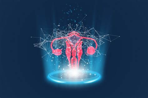 Dominant Follicle Ovary What Is It And How To Prevent It