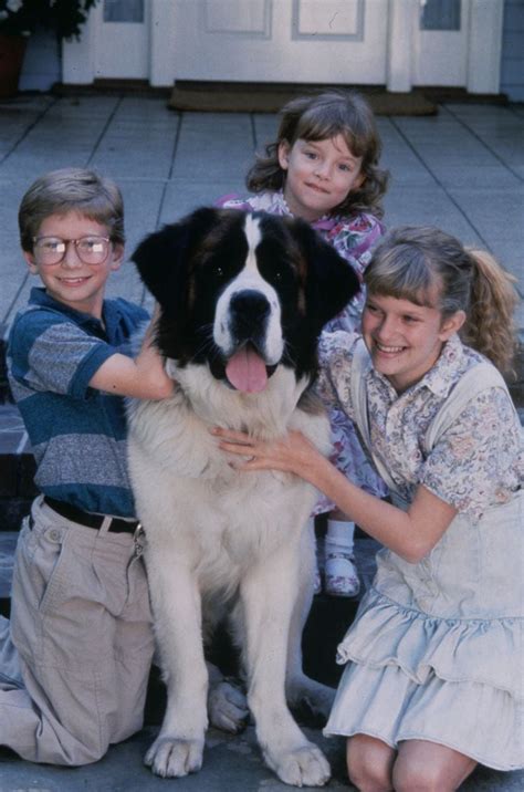 Foto De La Película Beethoven Uno Más De La Familia Foto 1 Por Un