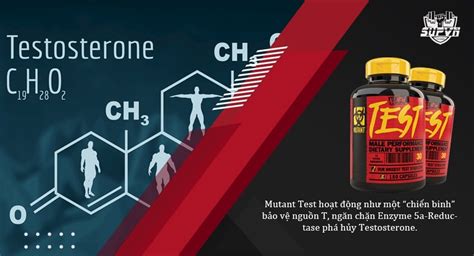 Mutant Test 180 Viên Tăng Hormon Nam Giới Cải Thiện Sức Mạnh Tối Đa Supvn