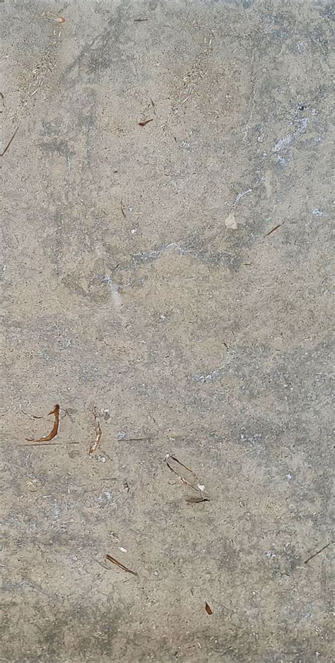 Limestone Slabs Bookmatch Perfume Shop Limestone Exterior Wall Cladding Limestone Flooring Tiles