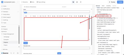 Rich Text Editor In The Application Builder Is It Possible To Integrate It Into The Input