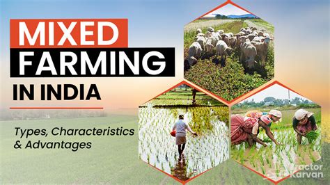 Future Of Mixed Crop And Livestock Farming At Brayden Hervey Blog