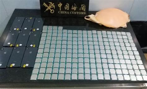 Nvidia Denies Chip Smuggling Reports Involving Fake Pregnancies And Live Lobsters TechSpot
