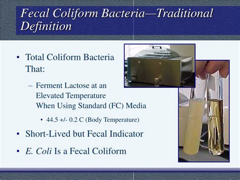 Ppt Total Coliform Rule Powerpoint Presentation Free Download Id5644176