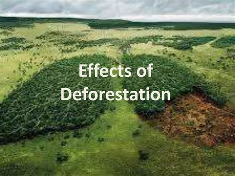 Deforestation Ppt Pptx