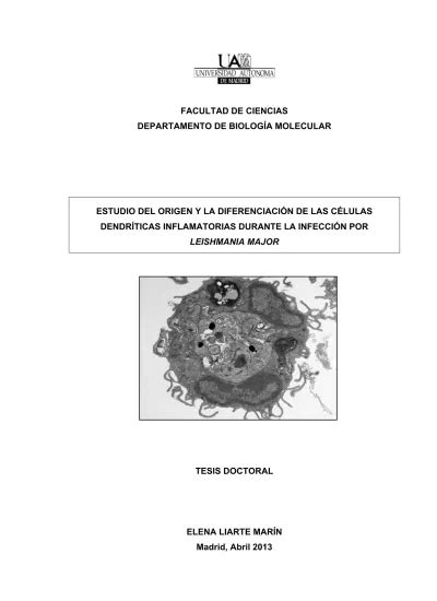 Monocitos Ly6c High Monocitos Como Precursores De Dcs Y Macrófagos