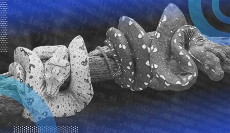 What Is Class Attribute In Python