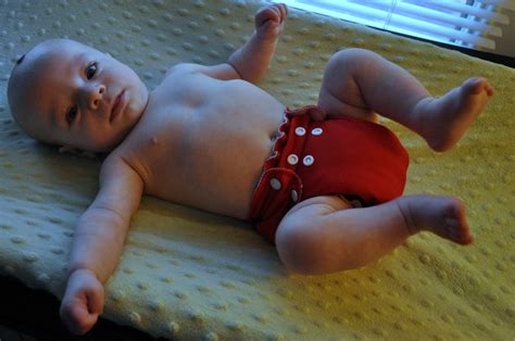 Applecheeks Cloth Diapers Suzs Treats