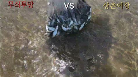 무쇠투망 클레스가 남다르다다쓸어담네 Youtube