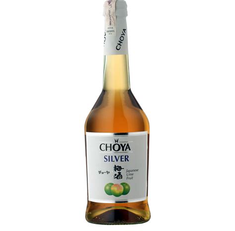 Choya Silver Intercooperation
