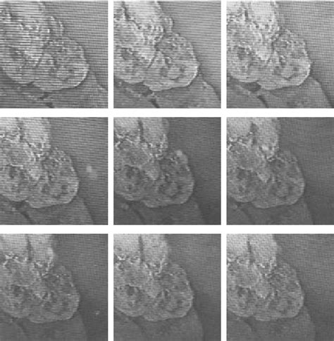 Figure 1 From Features Tracking For Visual Servoing Purpose Semantic