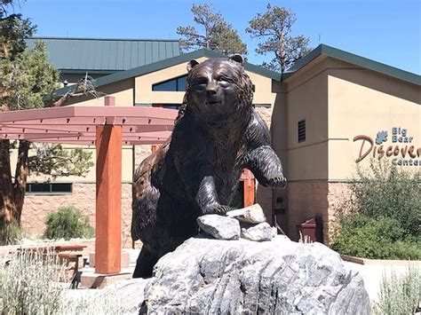 Big Bear Discovery Center Big Bear Region 2021 Lo Que Se Debe Saber