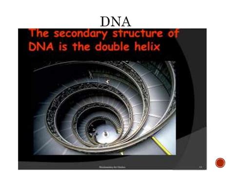 Dna Binding Proteins Ppt